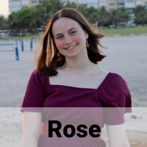 FIRST Indiana Robotics Student Board of Directors - FIRST Indiana Robotics